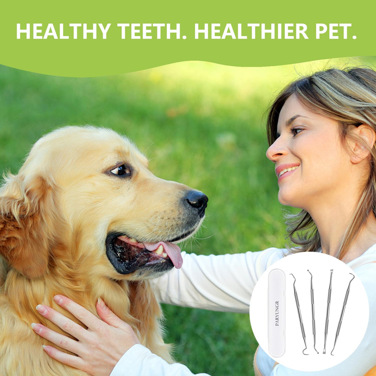 PARYUNGR Dental Tools Pet Dog Teeth Cleaner Tool Kit, Stainless Steel ...